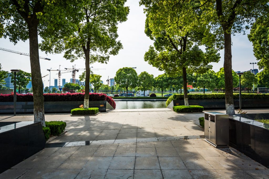 Cultivando um Jardim Urbano: Passo a Passo - inspirare